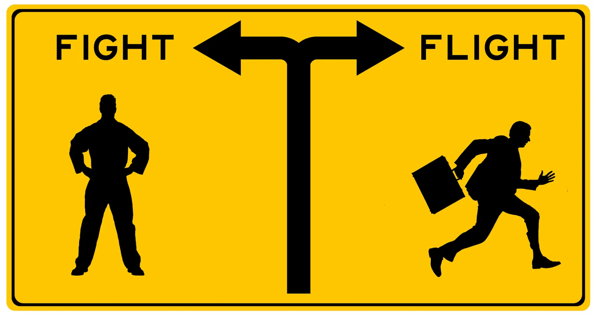 The Biology Behind the Fight or Flight Response - Resilient Minds Blog